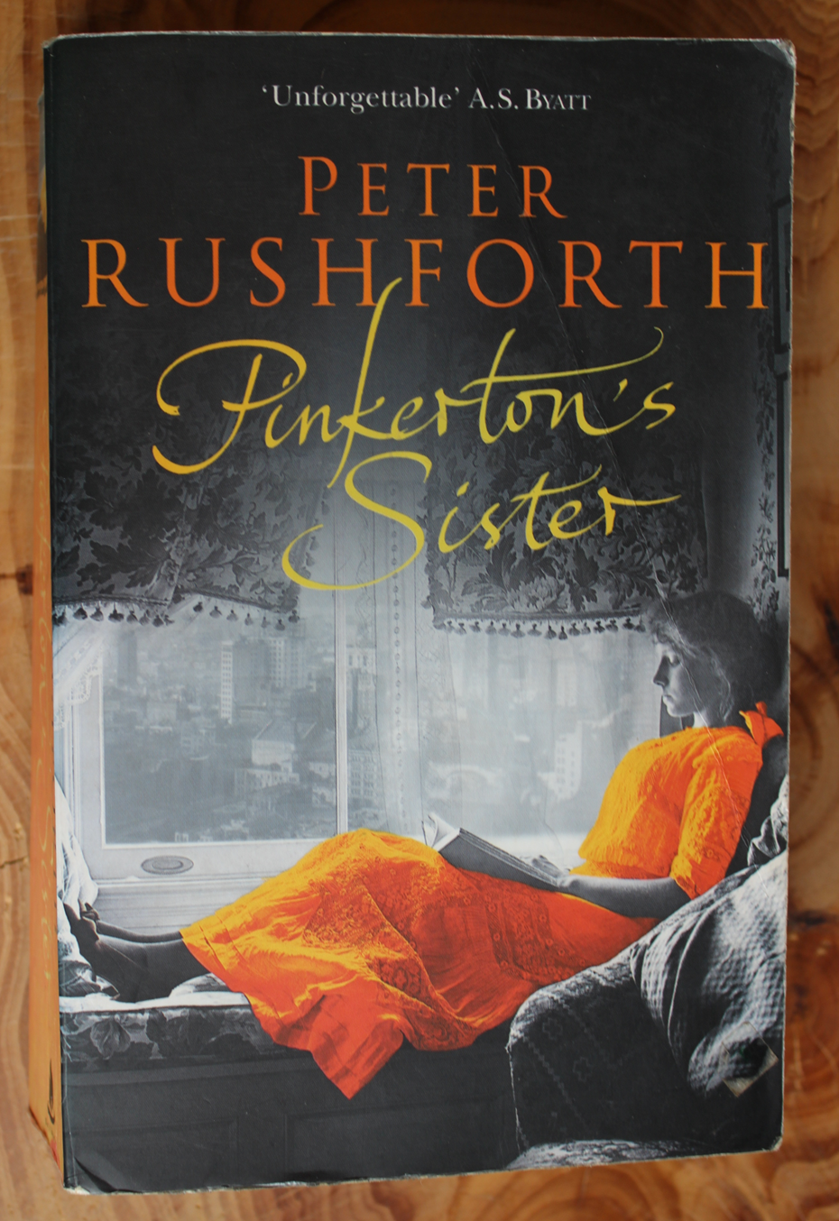 Pinkerton's Sister - Peter Rushforth – Belle's Books secondhand books
